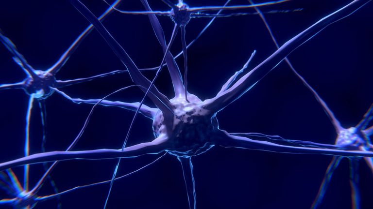 ¿Qué factores influyen en el desarrollo del cerebro del bebé?